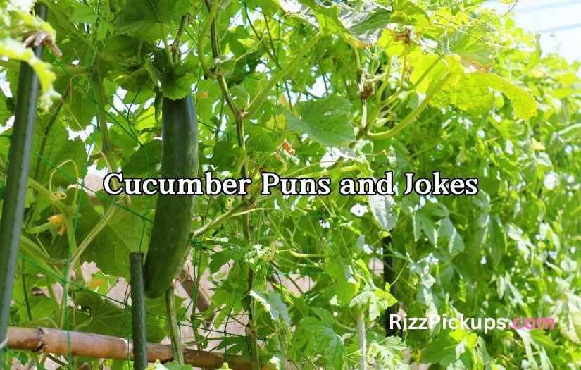 150+ Cucumber Puns and Jokes: Hilarious & Shareable 🥒2026